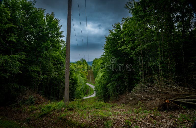 Power Poles Running through the Forest and Intersecting with a Winding ...