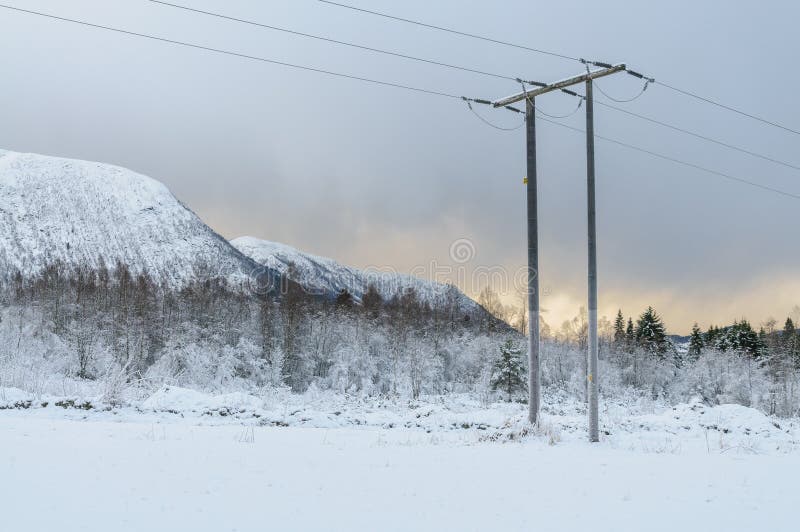 Power Poles in a Snowy Field Stock Photo - Image of snow, norway: 301177414