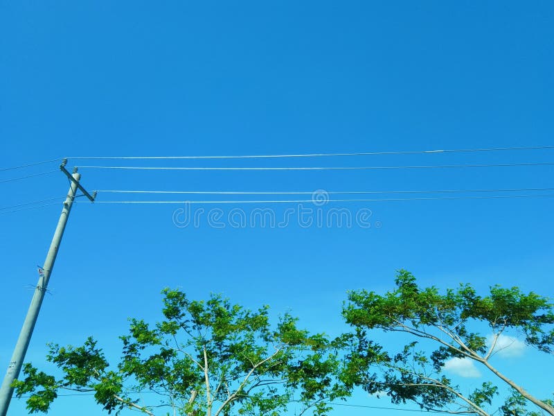 Power Poles and Trees from Below with Blue Sky Stock Image - Image of ...