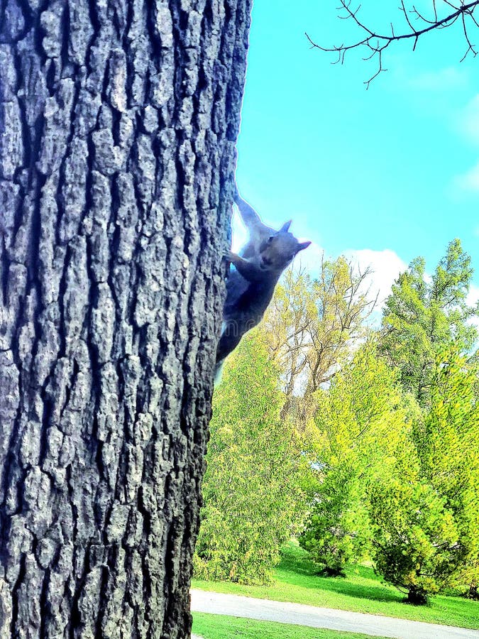 Menacing Poses Stock Photos - Free & Royalty-Free Stock Photos from ...