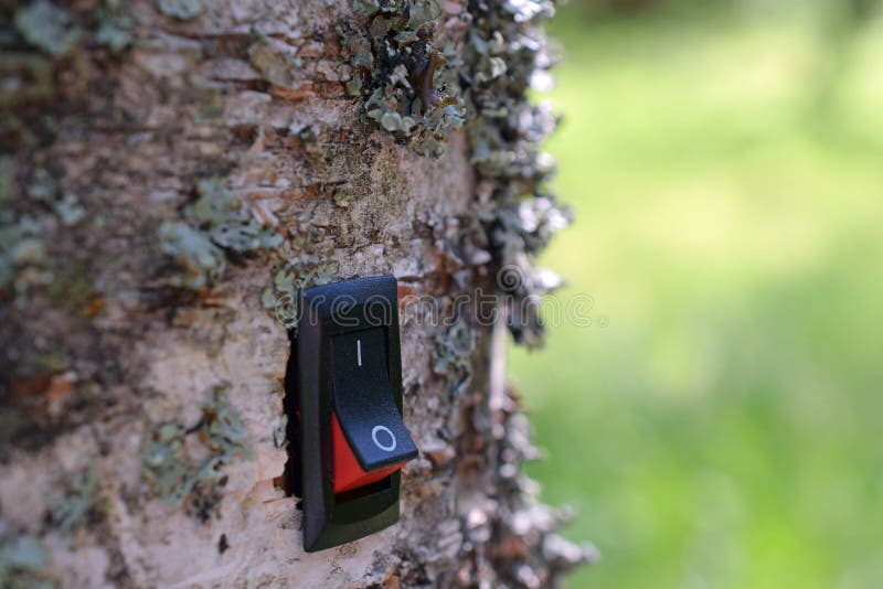 Power Switch Installed on Birch Tree. Concept of Conservation, Green ...