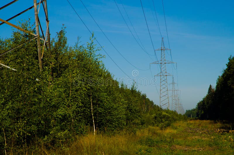 Power transmission line stock photo. Image of tree, industry - 42755074