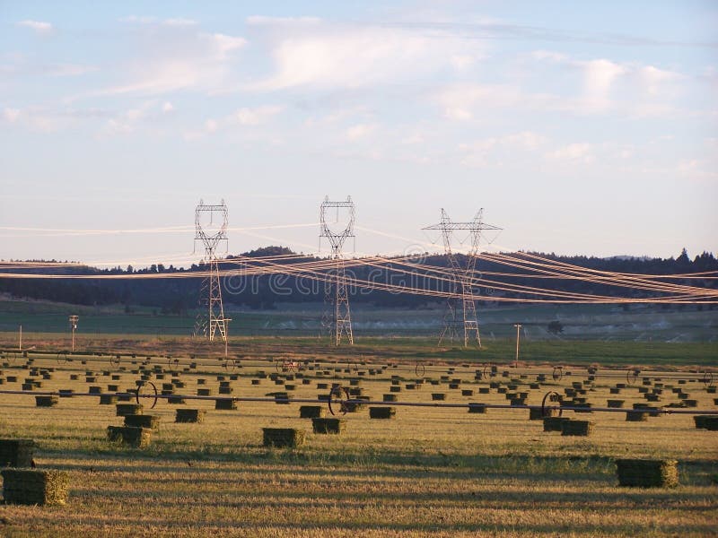 Power Transmission Lines Over A Field Of Bailed Hay Stock Photo - Image ...