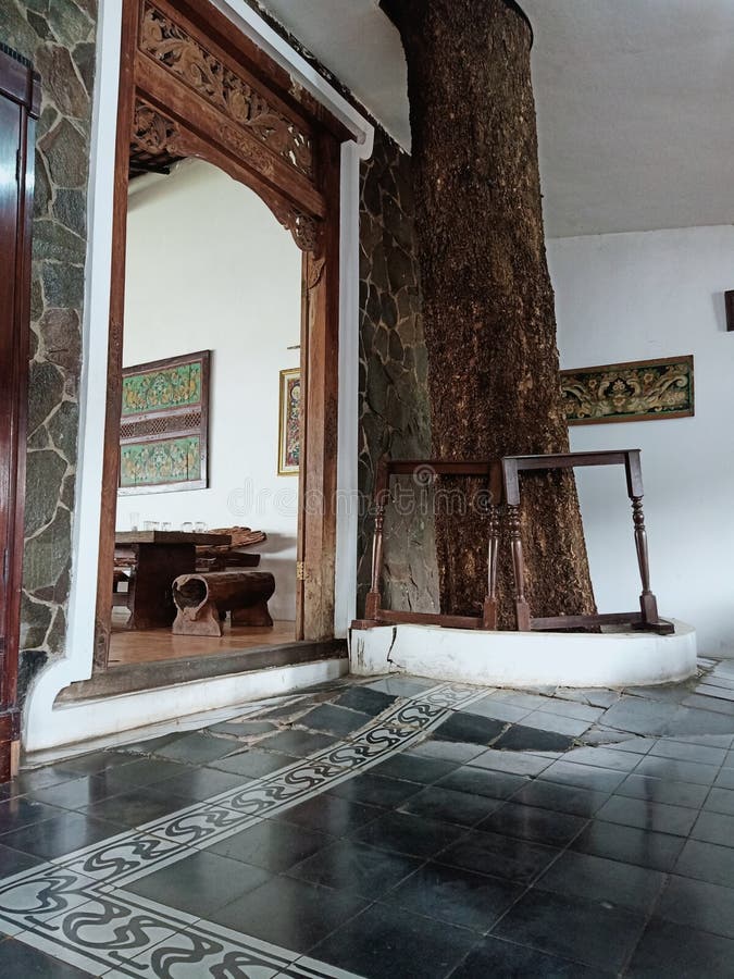 Power from Tree Roots the Awesome Things Stock Photo - Image of awesome ...