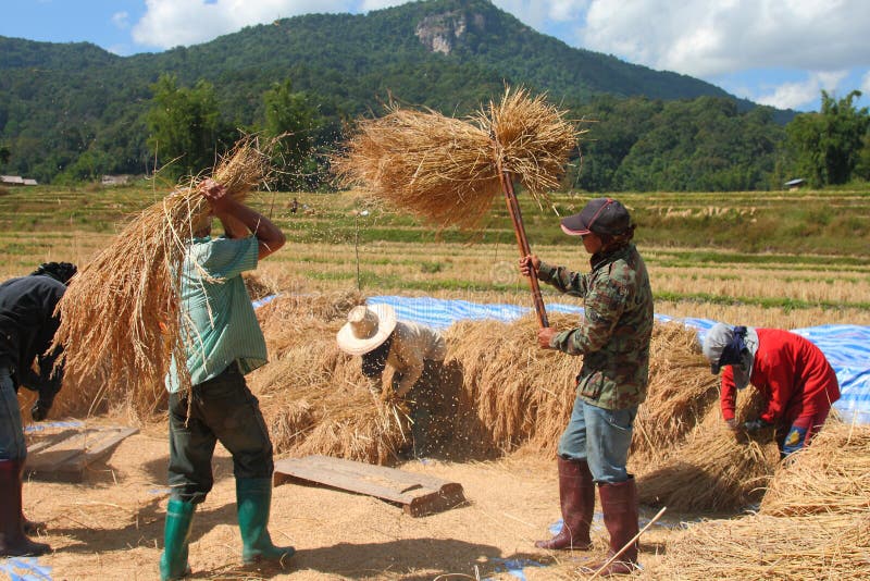 The power of the unity stock photo. Image of activity - 29163972