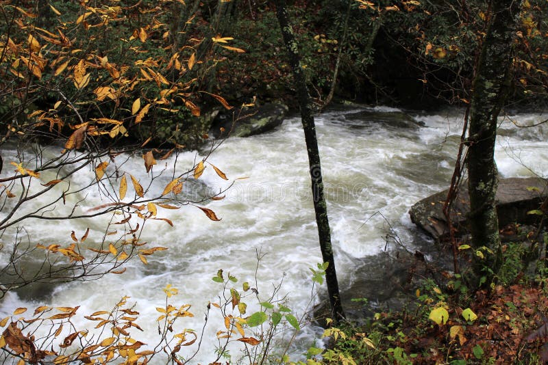 After a Hard Rain Rushing Water Turns a Gentle Stream into a Raging ...