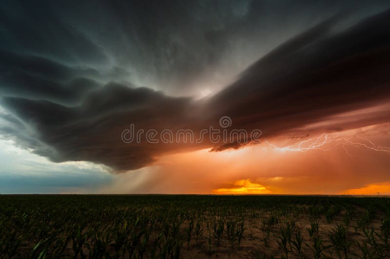 Powerful Bolts of Lightning Flash through Spectacular Storm Clouds ...