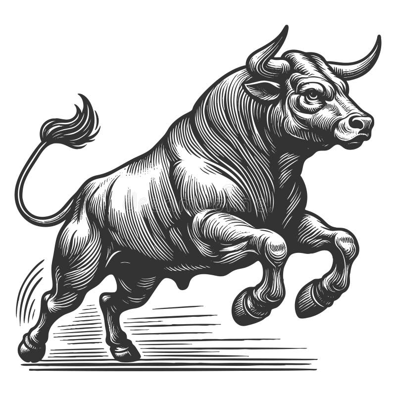 Powerful Charging Bull Engraving Vector Stock Vector - Illustration of ...