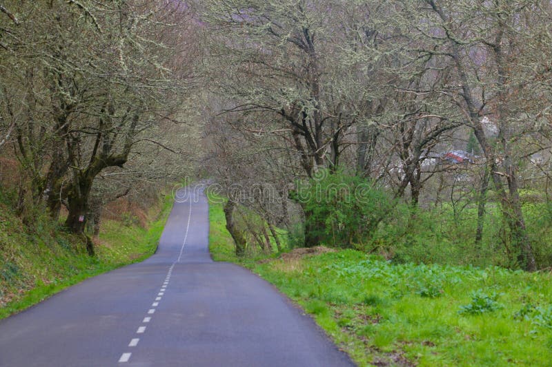 Panoramic View of Mountain Road. Stock Photo - Image of contrast, soil ...