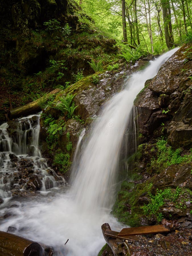 Powerful Creek with a Waterfall in the Spring Forest. Mountains in the ...