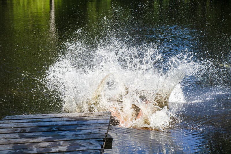 A Powerful Explosion in the Water.the Water Column and Spray Scatter in ...