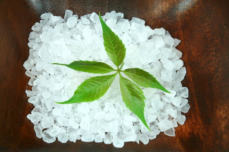 Powerful green leaf in spa stock image. Image of salt - 15031681