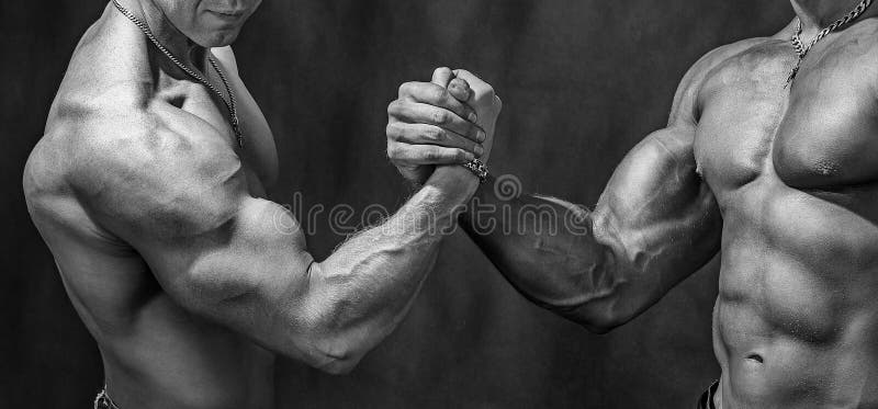 Powerful handshake stock image. Image of contract, muscle - 53156973