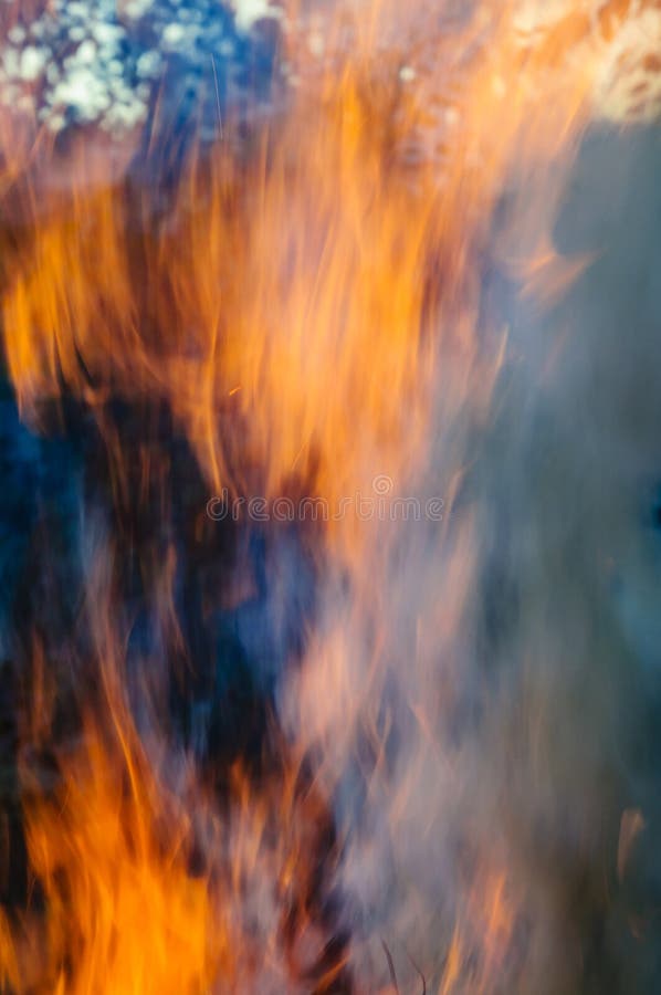 Powerful and High Flame of Fire Against the Background of Green Trees ...