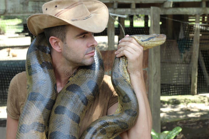Powerful Man Controlling Gigantic Anaconda Stock Photo - Image of ...