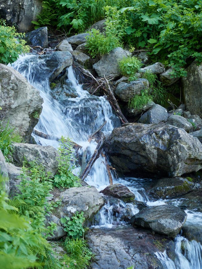 A Powerful Mountain Stream Flows Down from the Rocks and Stones Stock ...