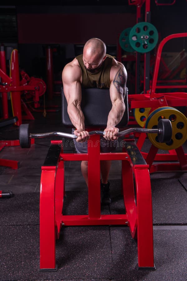 Powerful Muscular Man Doing Biceps Exercise with Barbell on the Bench ...