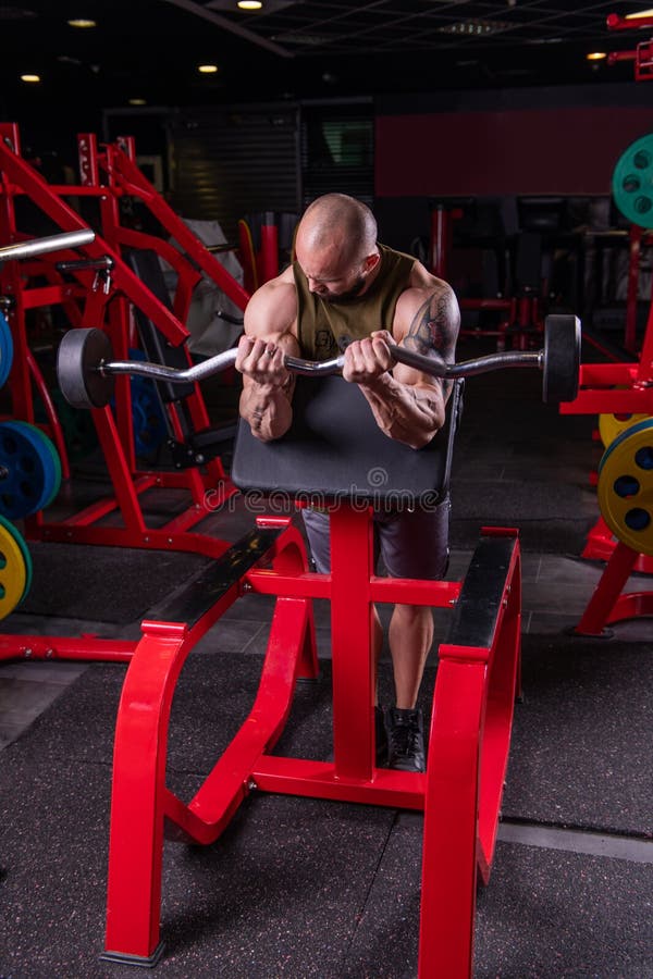 Powerful Muscular Man Doing Biceps Exercise with Barbell on the Bench ...
