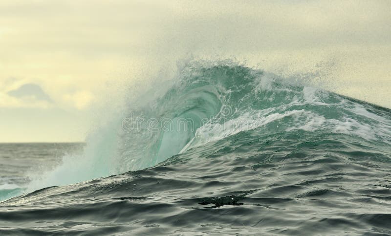 Powerful Ocean Wave Breaking. Wave on the Surface of the Ocean. Wave ...