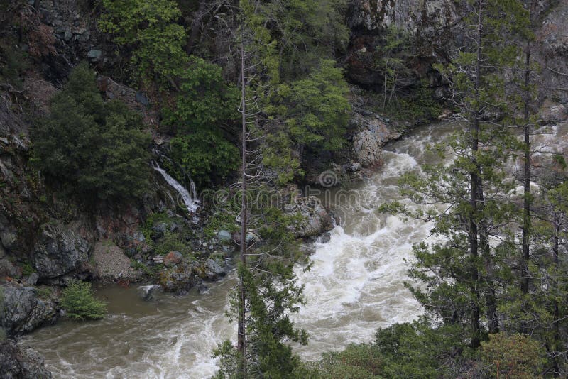 Powerful River Flowing through the Forest Stock Image - Image of forest ...
