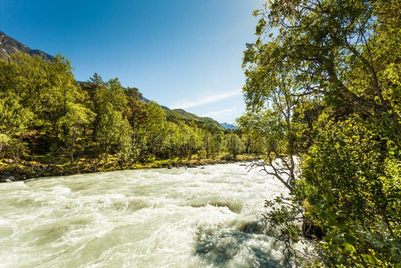 Powerful river in Norway stock photo. Image of river - 199011774
