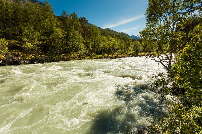 Powerful river in Norway stock image. Image of power - 216791953