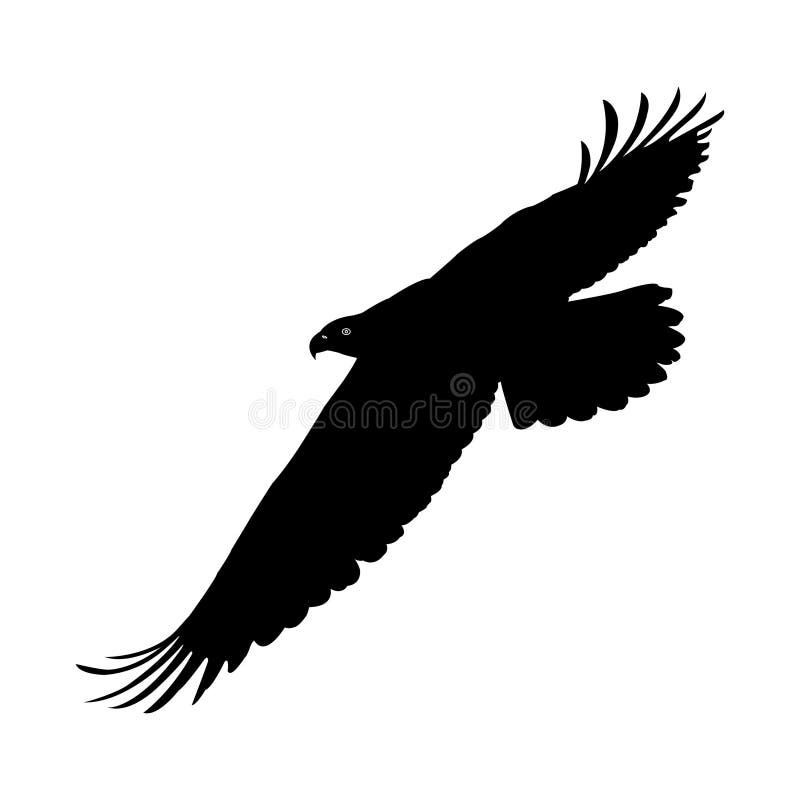 Powerful Silhouette of a Soaring Eagle in Flight. Symbol of Eagle ...