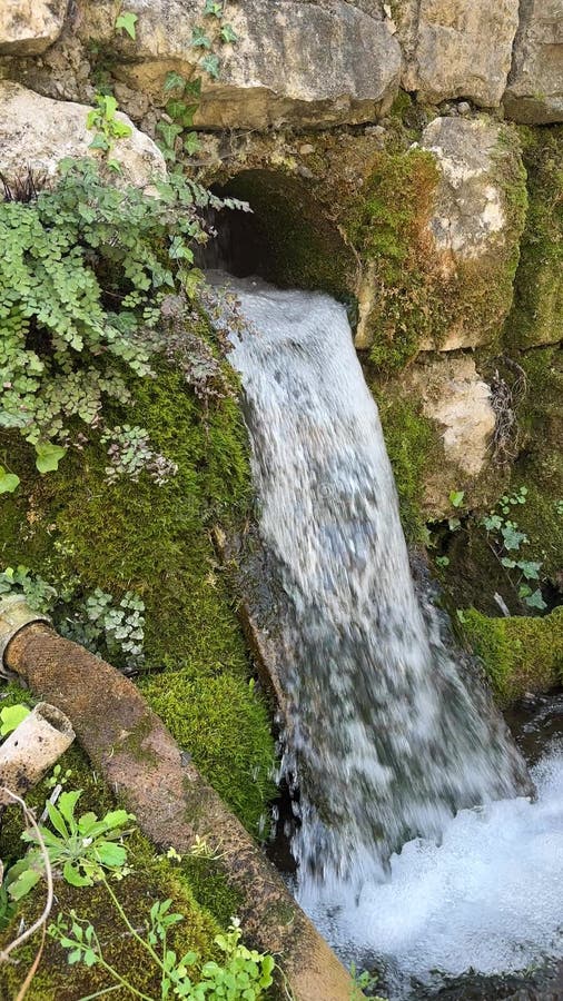 A Powerful Stream of Natural Spring Bursts Out of the Wall Covered with ...
