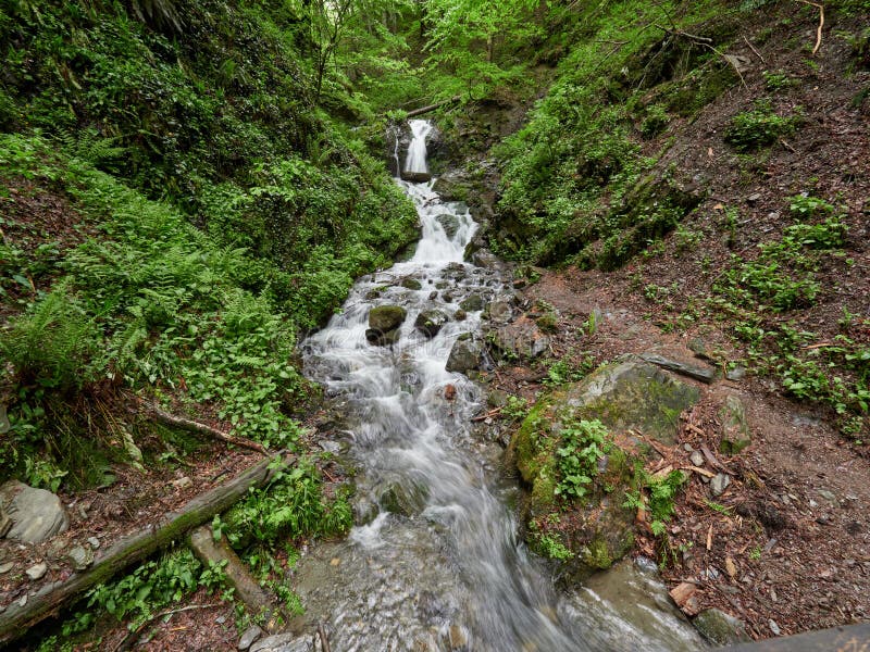 Powerful Stream in Spring Forest. Waterfall in the Forest Stock Photo ...