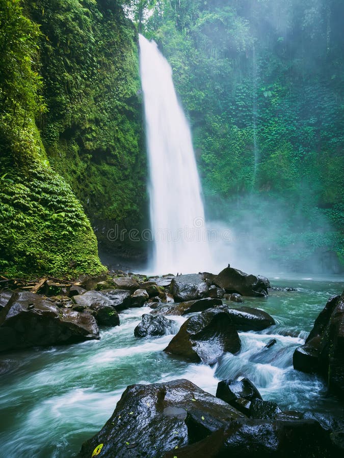 Powerful Waterfall with River in Bali. Tropical Forest and Waterfall ...
