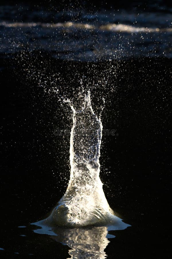 A Water Splash is Coming Out from the Ocean Surface at Night Stock ...