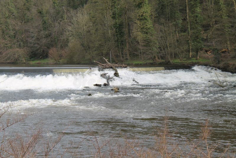 Fast Flowing Wide River. stock image. Image of vegetation - 121149847