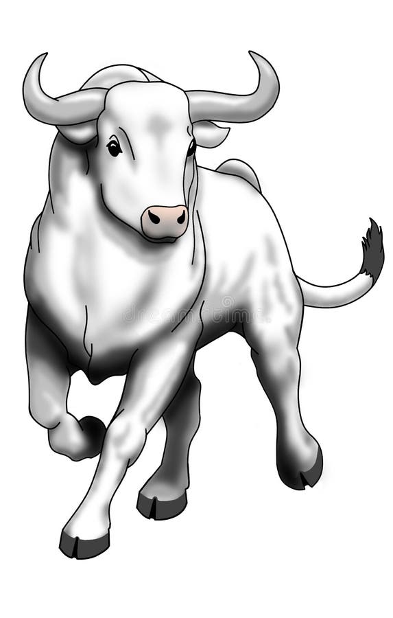 Powerful White Bull-symbol of 2021. Stock Illustration - Illustration ...