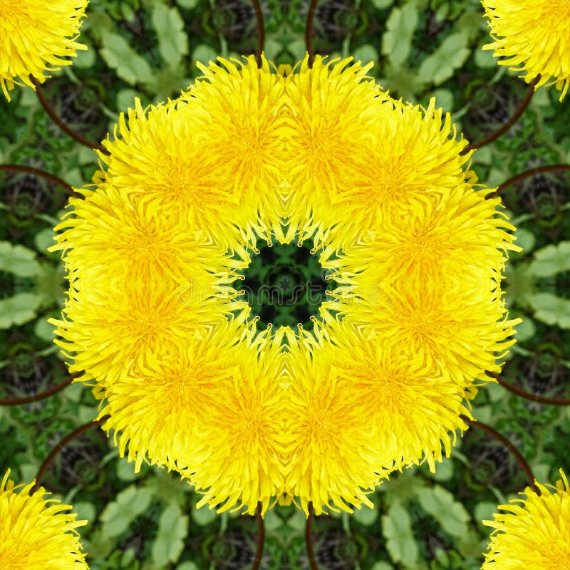 Powerful Yellow Flower Abstract Background Stock Image - Image of ...
