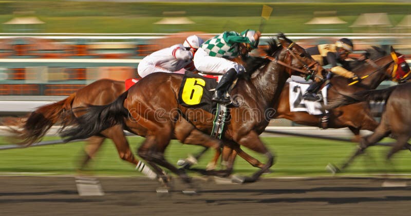 Powering Down the Homestretch Editorial Stock Photo - Image of track ...