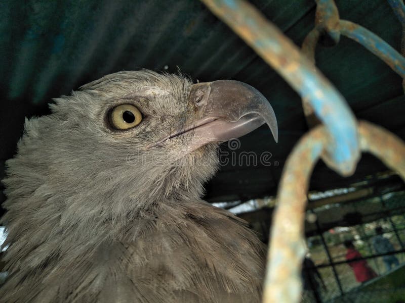 Egol Stock Photos - Free & Royalty-Free Stock Photos from Dreamstime