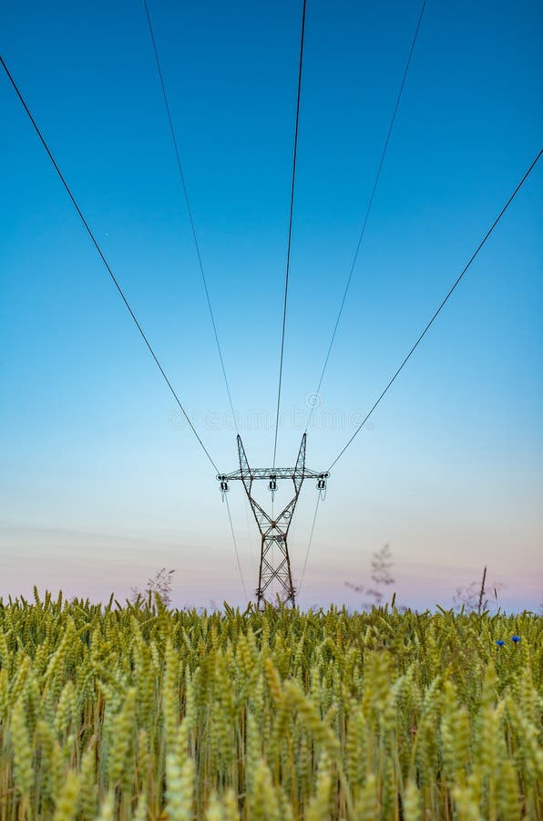 The powerline on the field stock image. Image of pole - 58140235