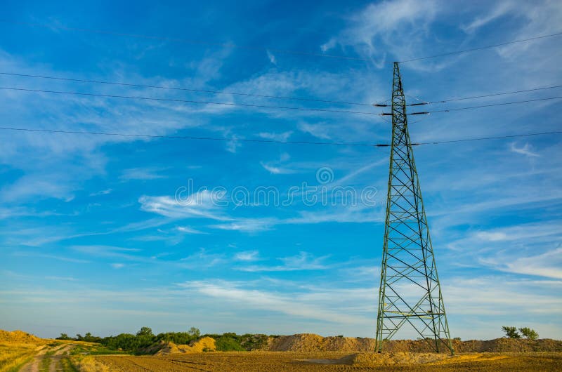 Powerlines on the field stock image. Image of blossom - 64459549