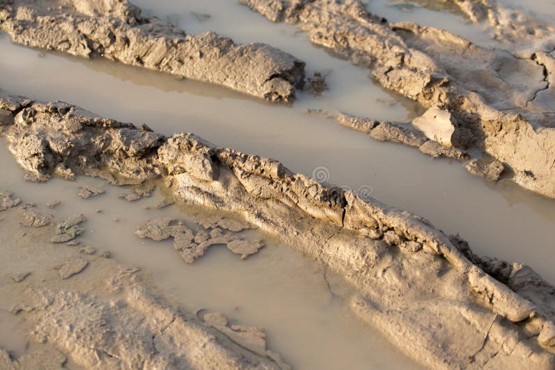 Pozza Di Fango Su Una Strada Sterrata Fotografia Stock - Immagine di ...