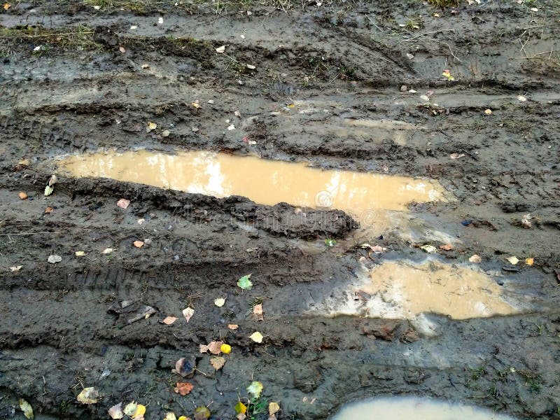 Pozza Sporca Nel Fango Con La Riflessione Degli Alberi E Del Cielo ...