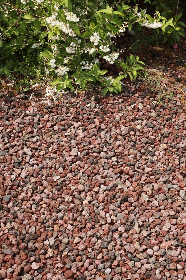 Pozzolan mulching natural foto de stock. Imagem de mola - 259285226