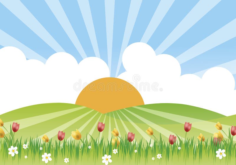 Pré fleuri illustration stock. Illustration of ciel, rayons - 41784480