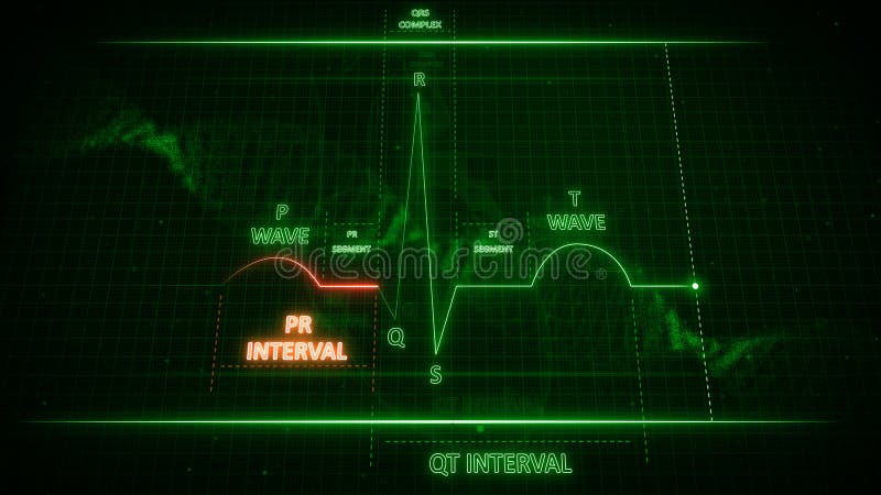 PR Intervals of Electrocardiogram Wave or ECG or EKG Stock Illustration ...