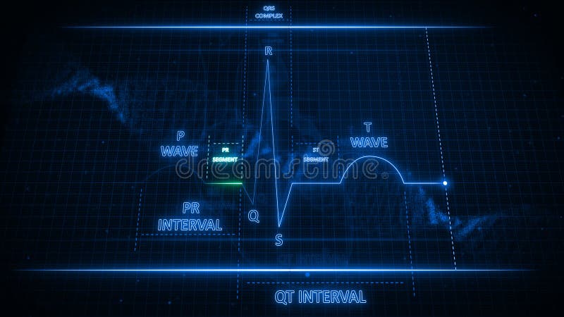 PR Segment from Electrocardiogram Wave or ECG or EKG Stock Illustration ...