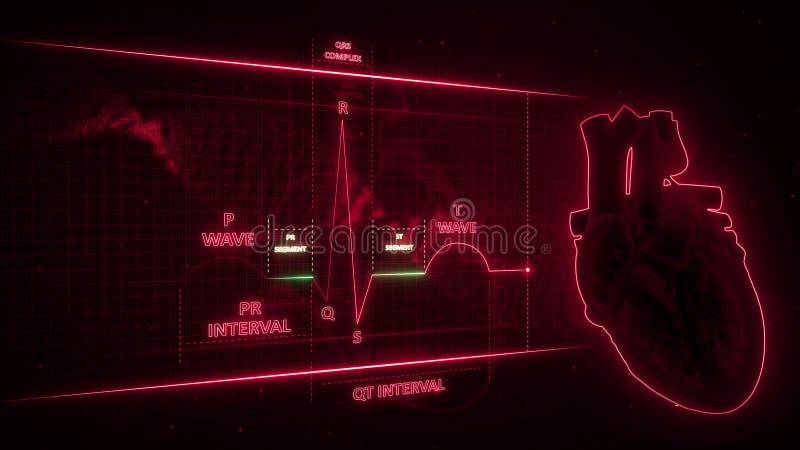 PR and ST Segment from Electrocardiogram Wave or ECG or EKG Stock ...