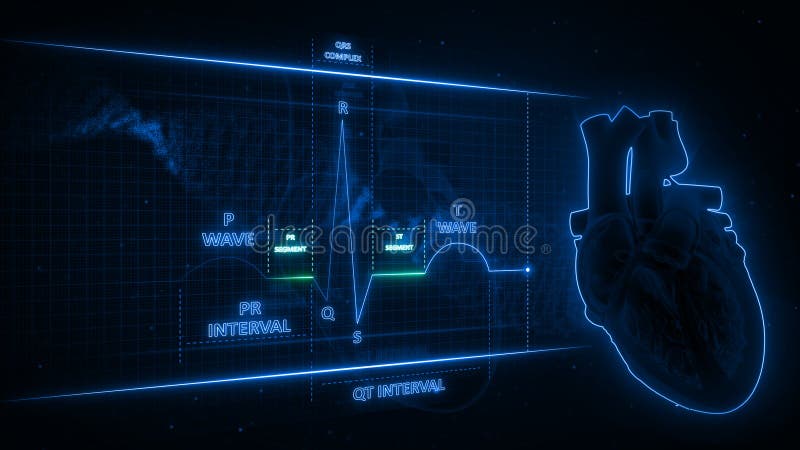 PR and ST Segment from Electrocardiogram Wave or ECG or EKG Stock ...
