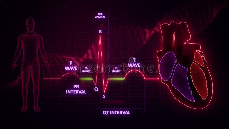 PR and ST Segment from Electrocardiogram Wave or ECG or EKG Stock ...