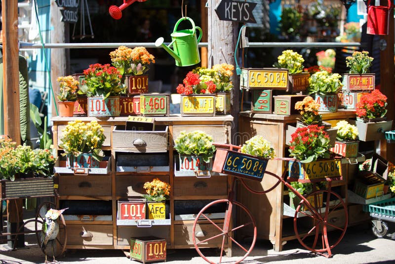 Practical Example of a Home and Garden Display with Beautiful Flowers ...
