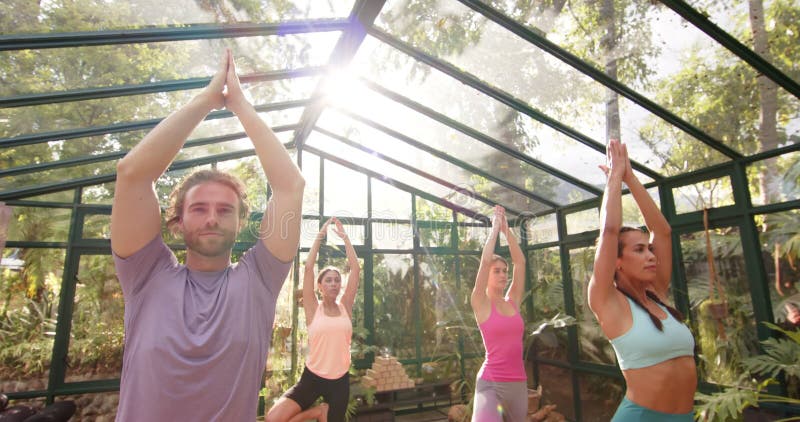 Practicing Yoga, Group Performing Tree Pose in Glass House with ...