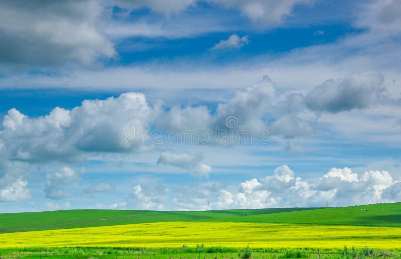 Pradera verde extensa imagen de archivo. Imagen de paseo - 107289449